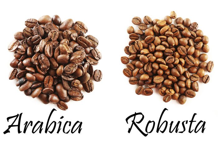 Arabica Vs Robusta Arabica Vs Robusta Coffee Beans: The Differences