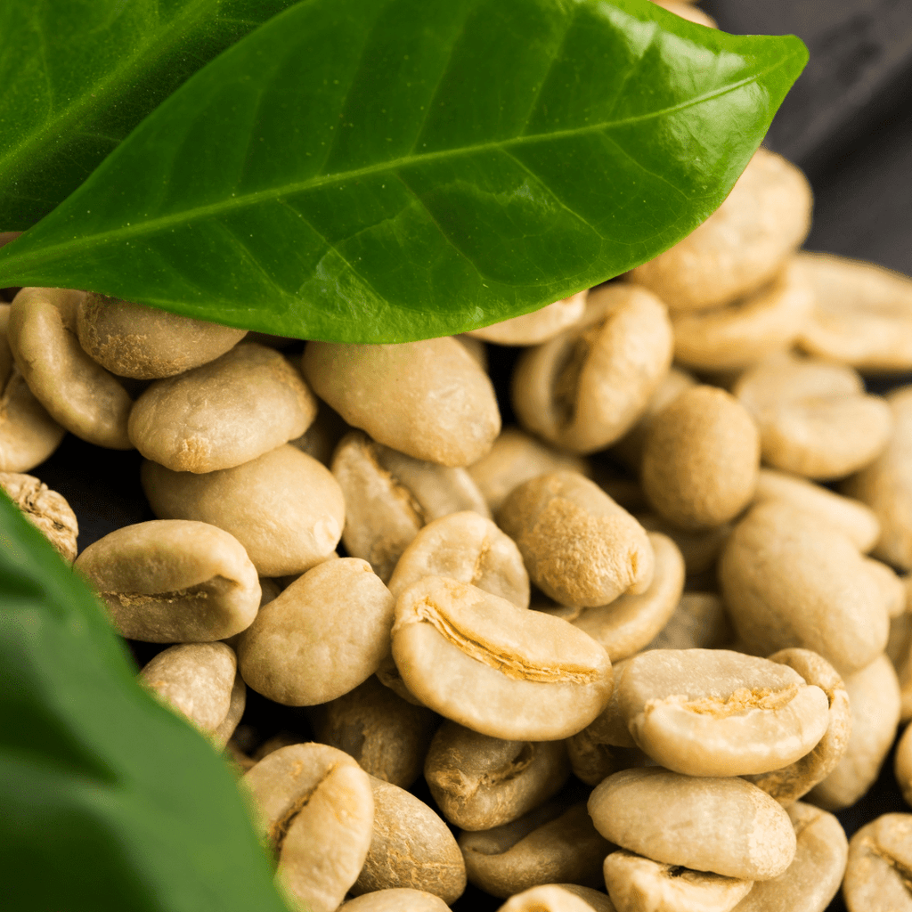 From Antioquia with Love: "The Enchanting Tale of Colombian Coffee"